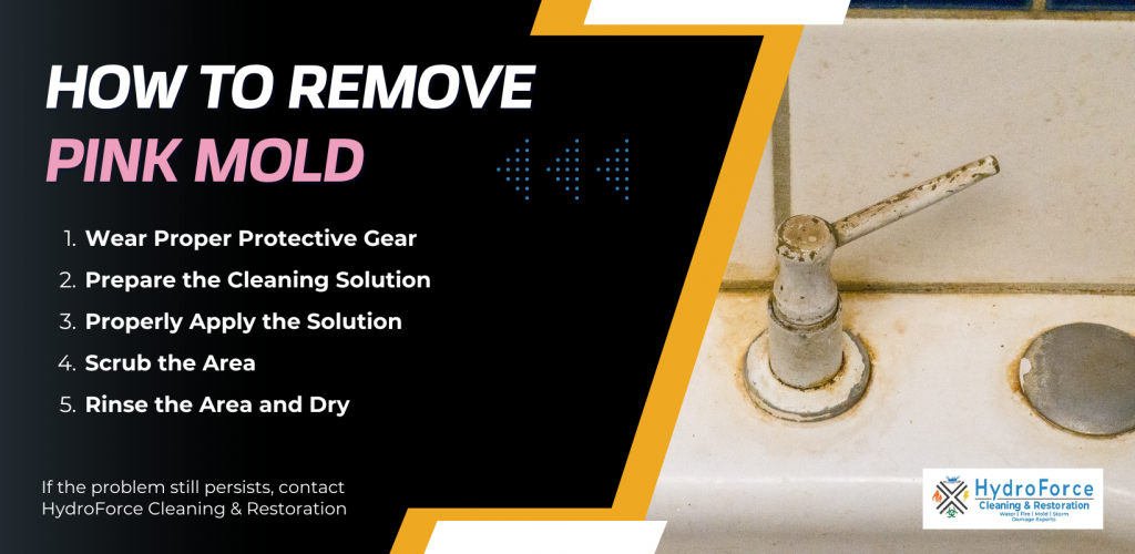 How to Remove and Prevent Pink Mold in Bathrooms and Kitchens