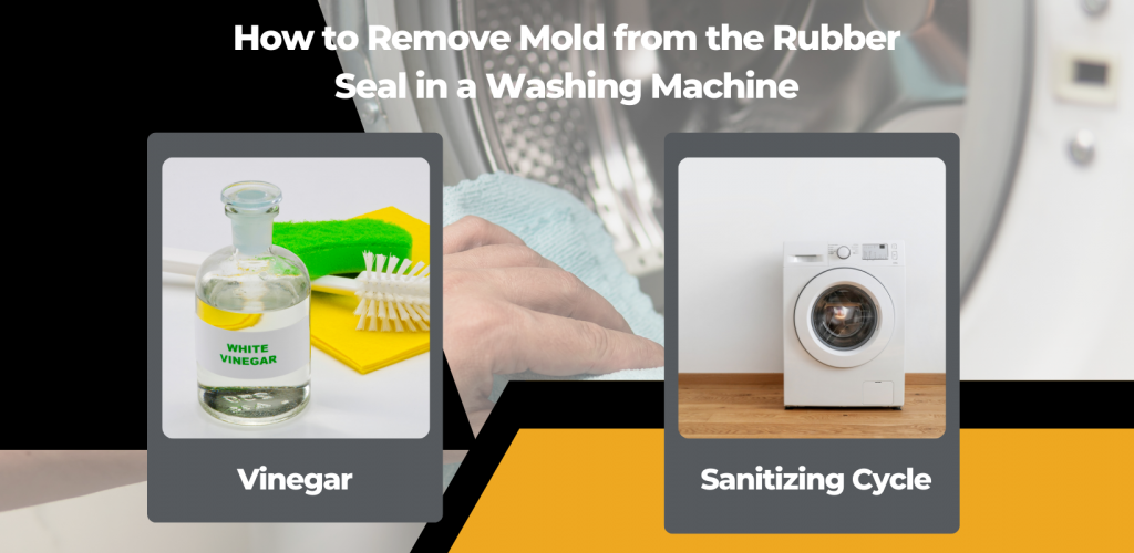 How to Remove Mold from the Rubber Seal in Your Washer
