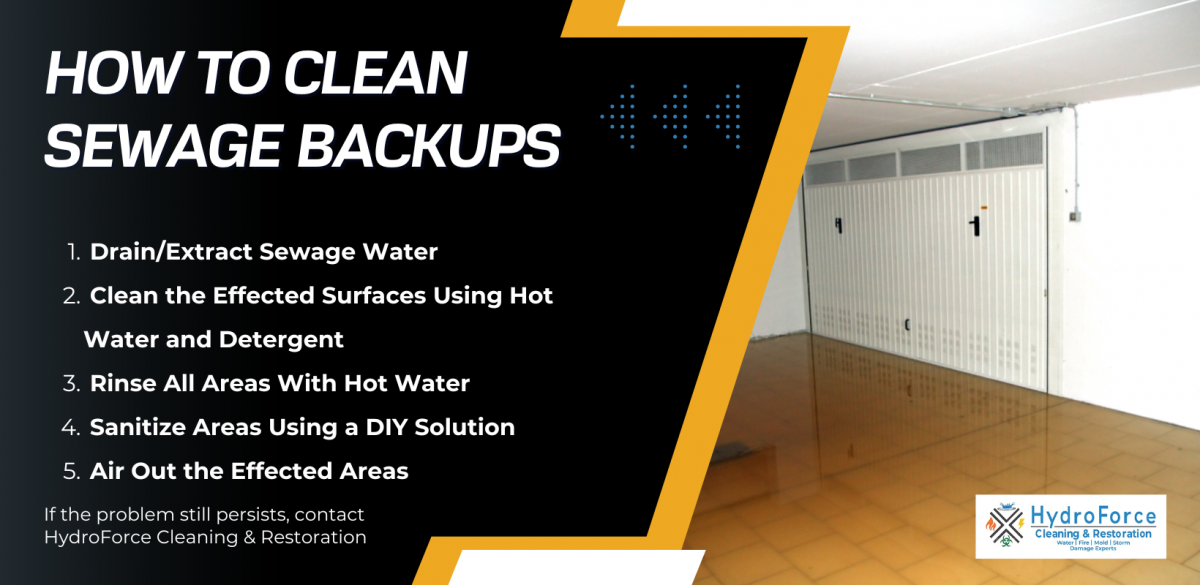 How to Safely Clean a Sewage Backup: Step-by-Step Guide