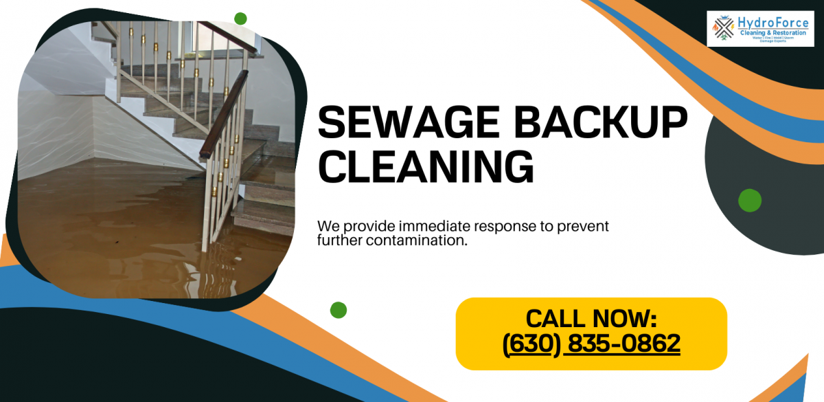 How to Safely Clean a Sewage Backup: Step-by-Step Guide