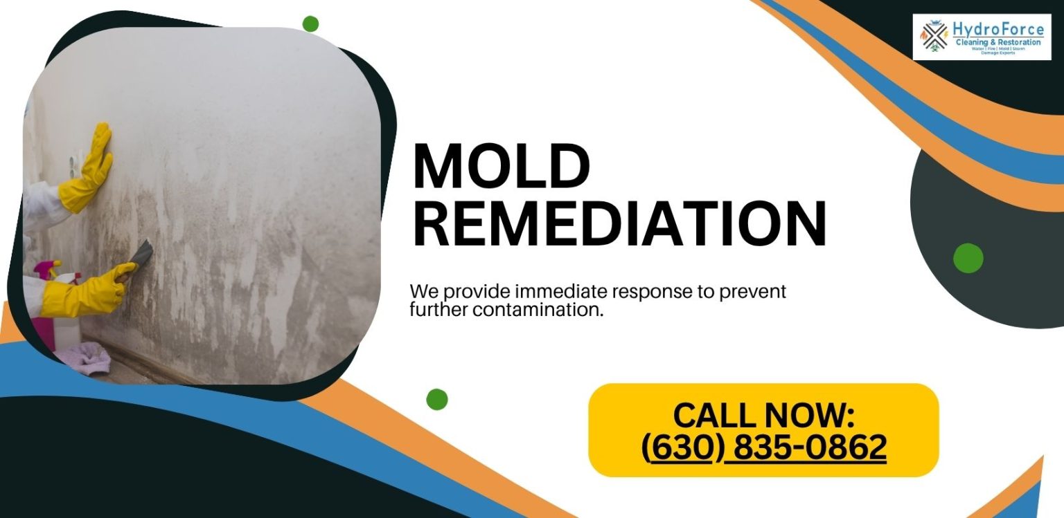 Can Hydrogen Peroxide Kill Mold? What You Need to Know